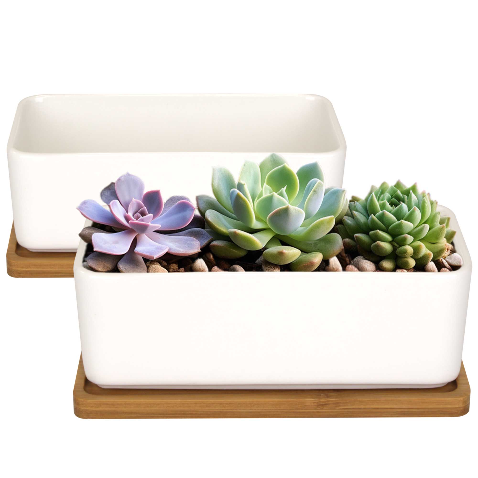 Rectangle Succulent Plant Pots with Tray
